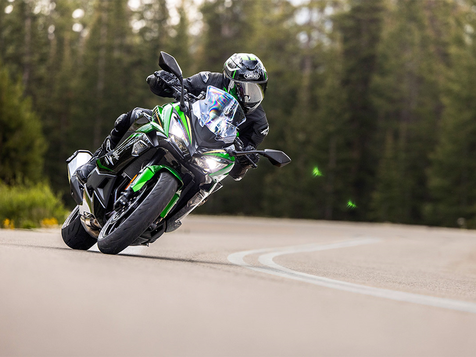 2025-Kawasaki-NINJA-1100SX-SE-ABS-Emerald-Blazed-Green/Metallic-Diablo ...