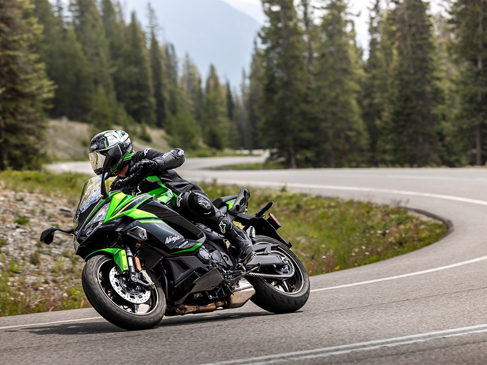 2025-Kawasaki-NINJA-1100SX-SE-ABS-Emerald-Blazed-Green/Metallic-Diablo ...